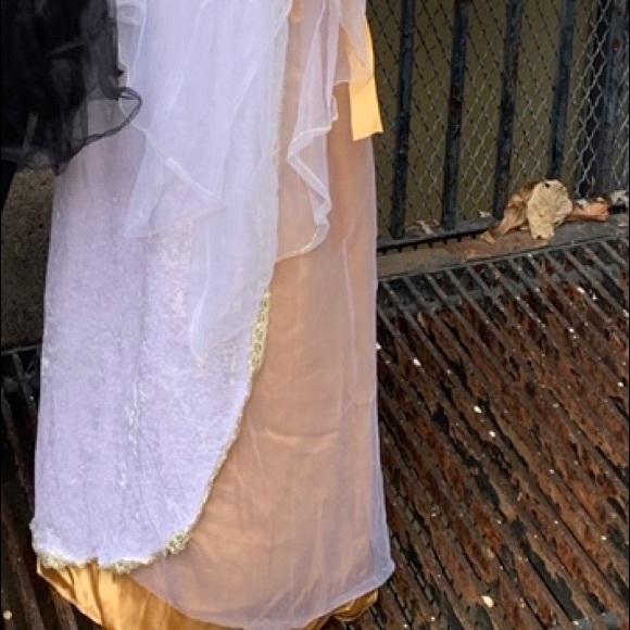 Costumes | Guardian Angel Costume White And Gold With Wings Used Once ...